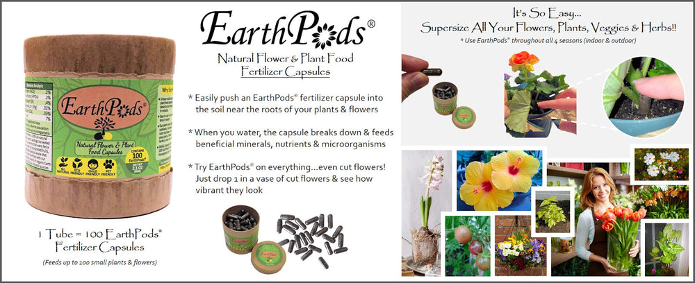 Earthworm Technologies: Organic Indoor Plant Food & Flower Fertilizer