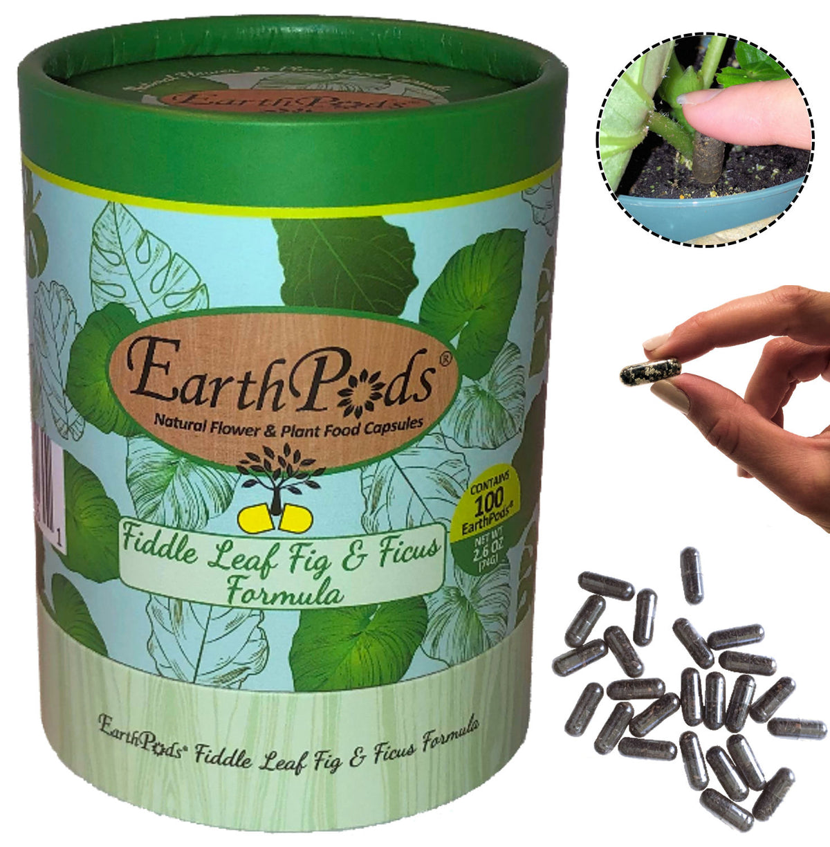 EarthPods® FIDDLE LEAF FIG & FICUS Organic Plant Food Capsules ...